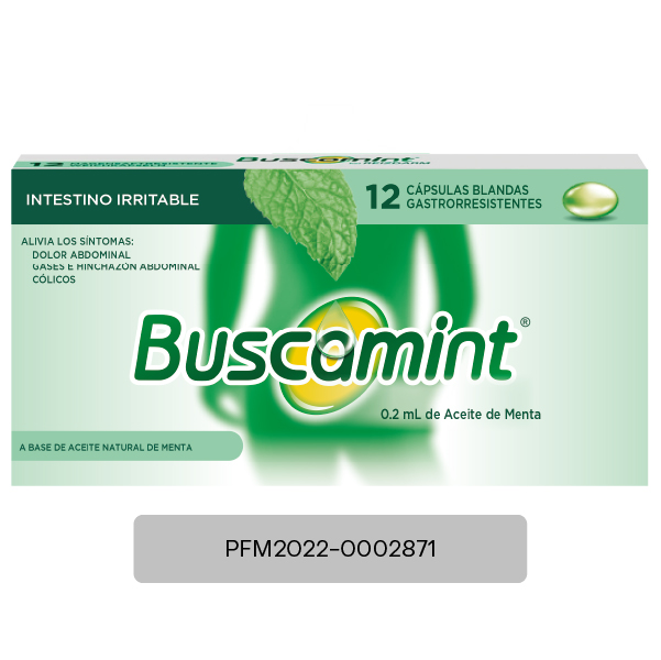 Buscamint Capsulas Blandas Caja X 12 | Cruz Verde