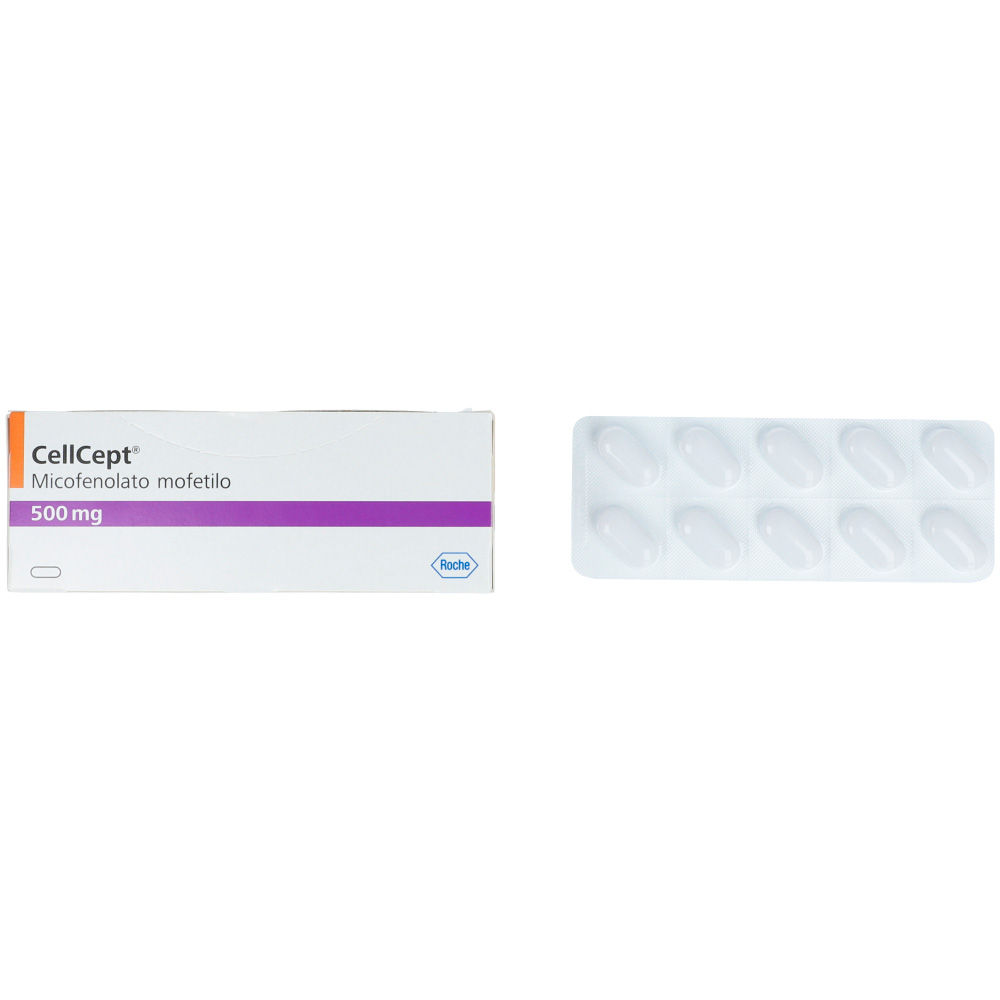 Cellcept 500 mg x 1 blister x 10 tabletas | Cruz Verde